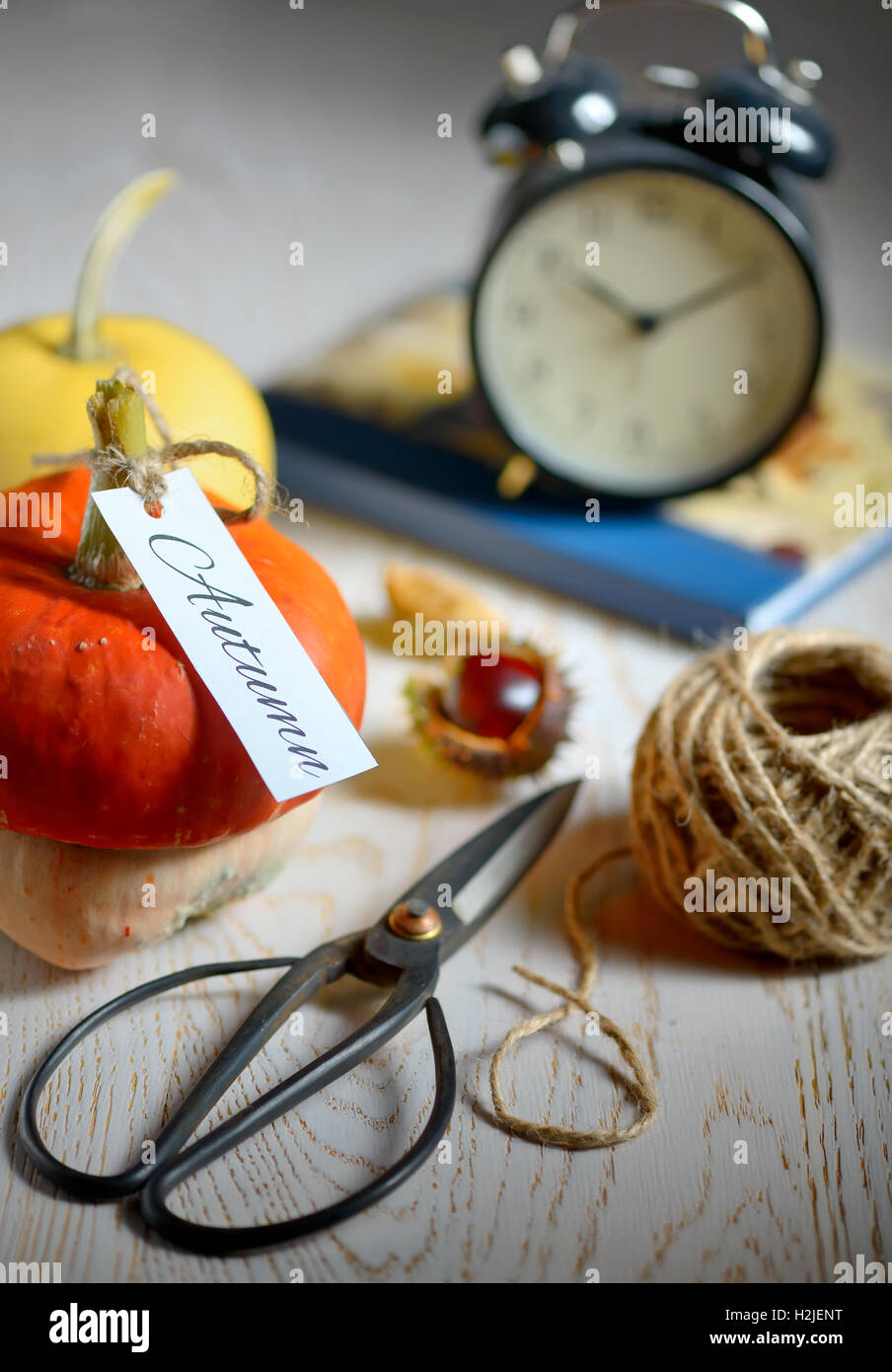 Scissor And Rope High Resolution Stock Photography and Images - Alamy