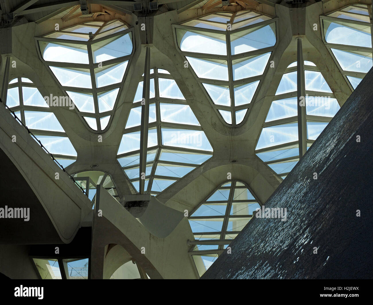 Skeletal structures hi-res stock photography and images - Alamy