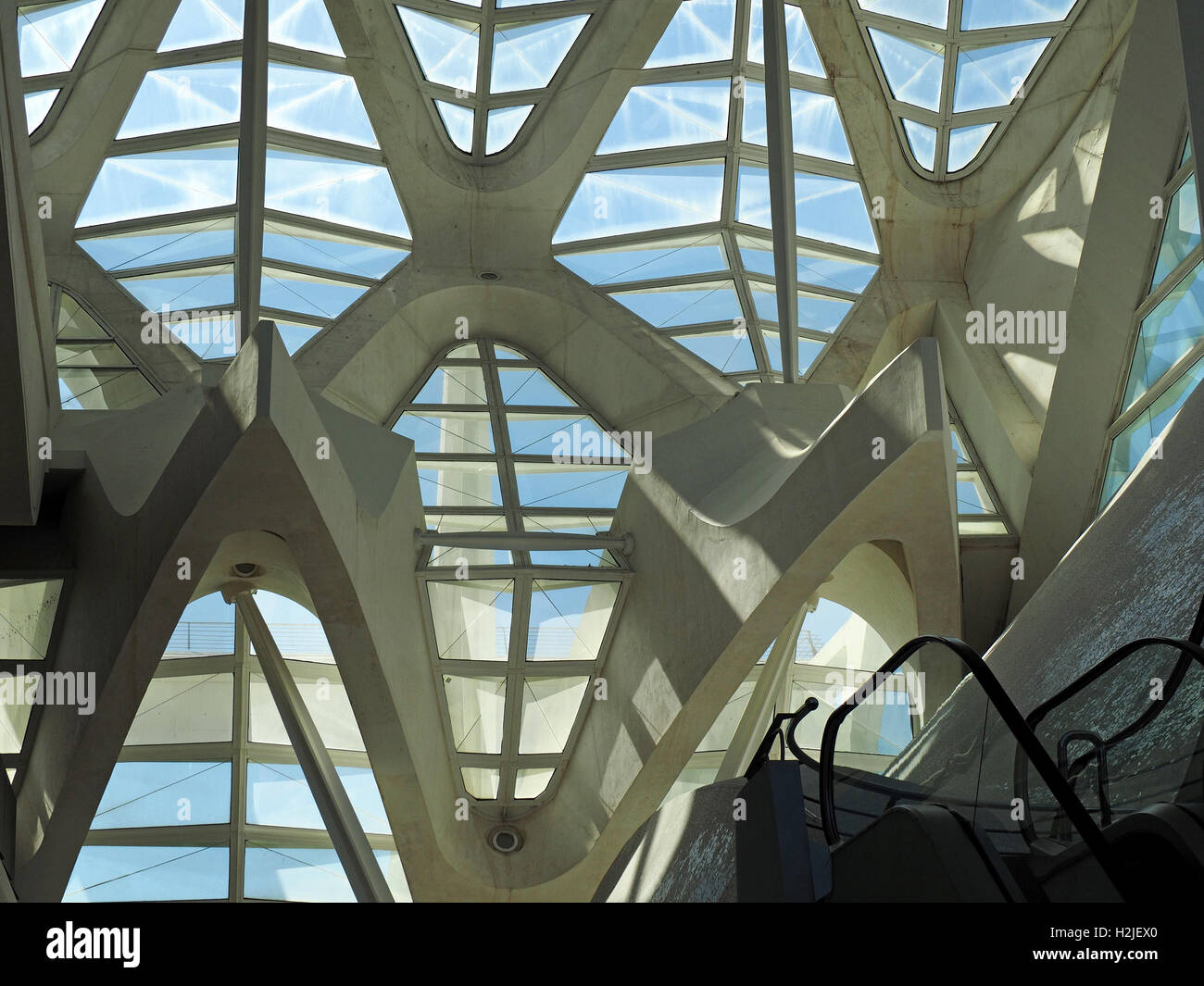 detail of building at Arts & Sciences Centre Center Valencia with ...