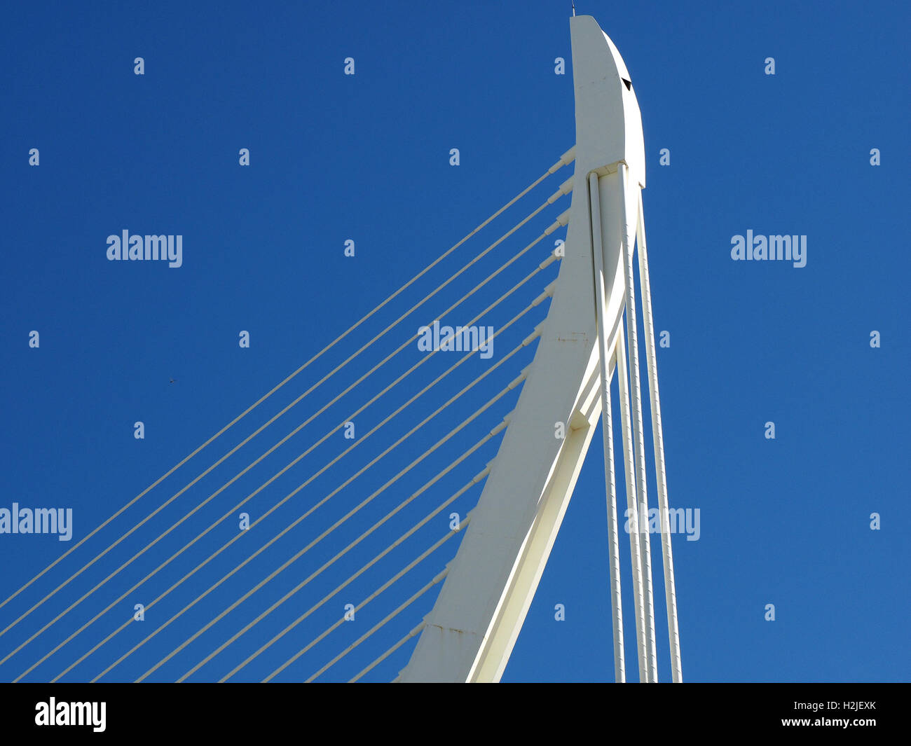 white concrete beam with diagonal and vertical cables at apex of canopy ...