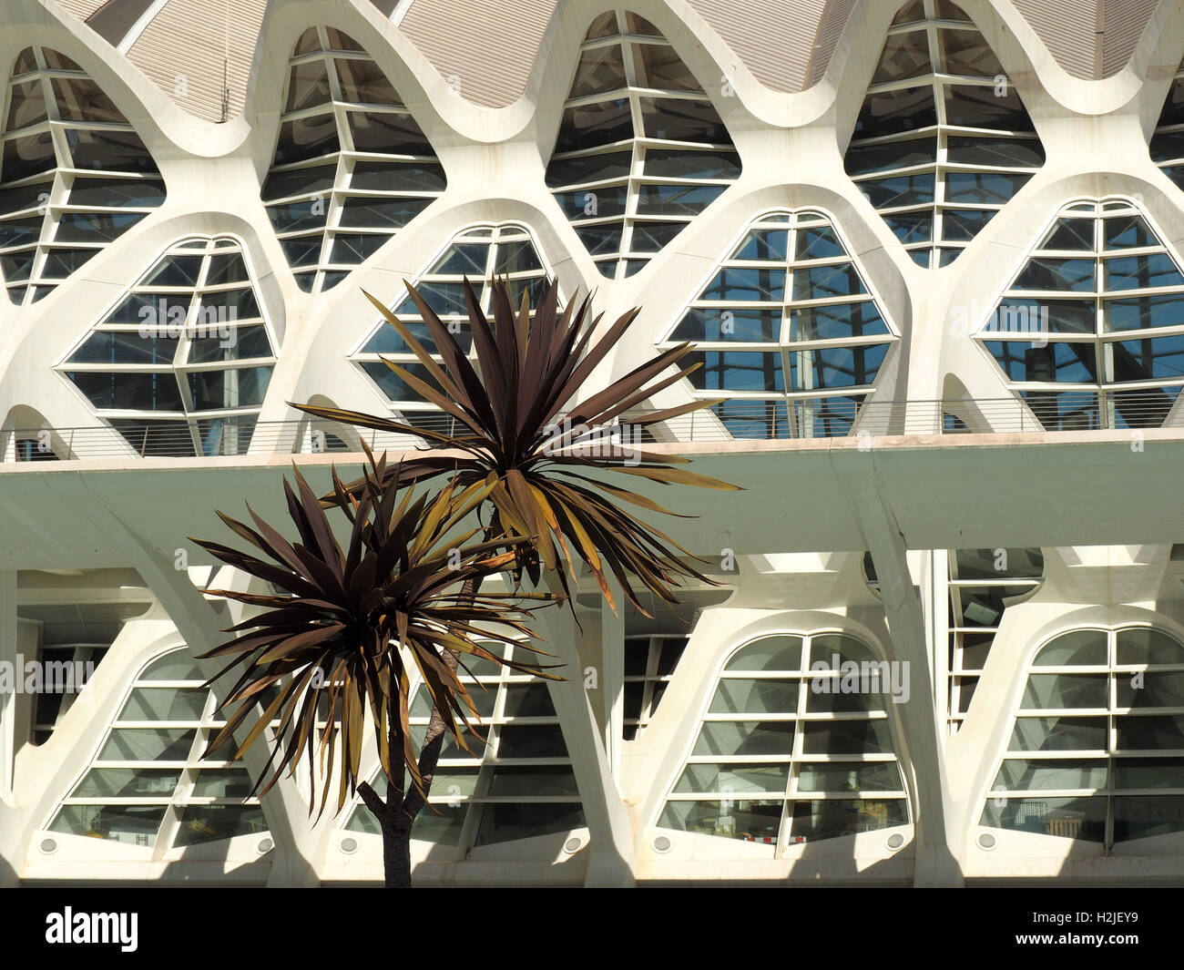 Striking skeletal structure hi-res stock photography and images - Alamy