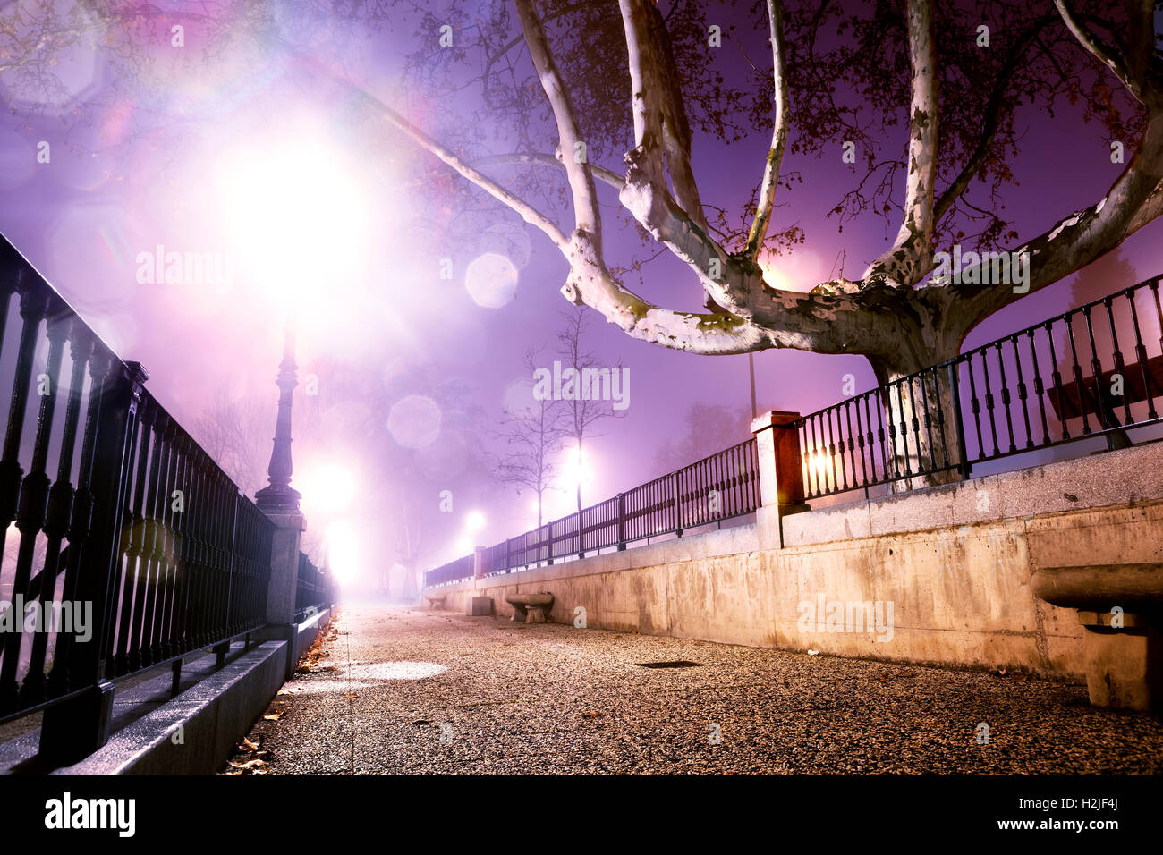 City street at night .Trees,wall and lamppost Stock Photo - Alamy
