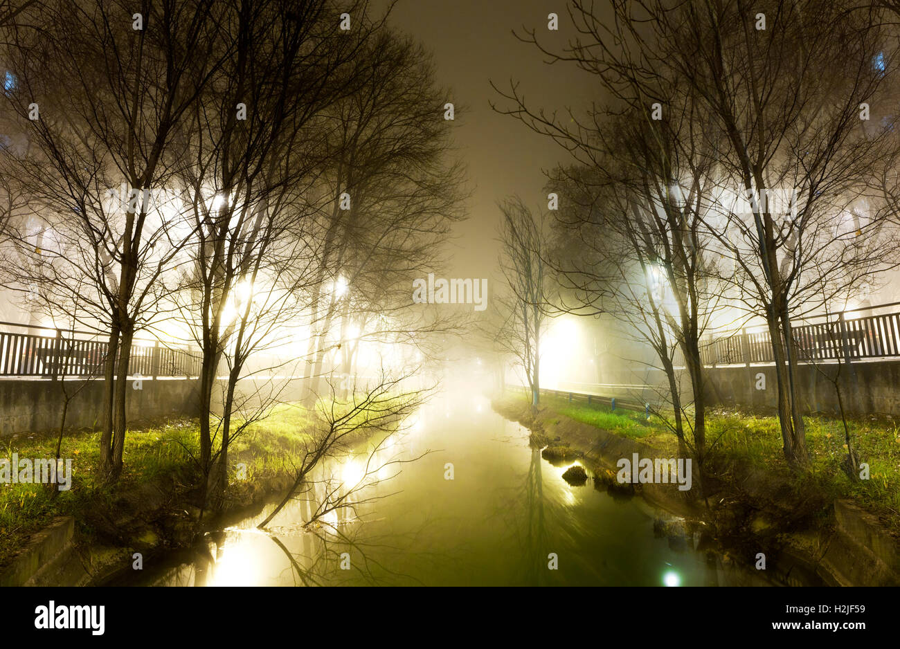 City scenery.Water channel and fog.City street at winter night Stock ...