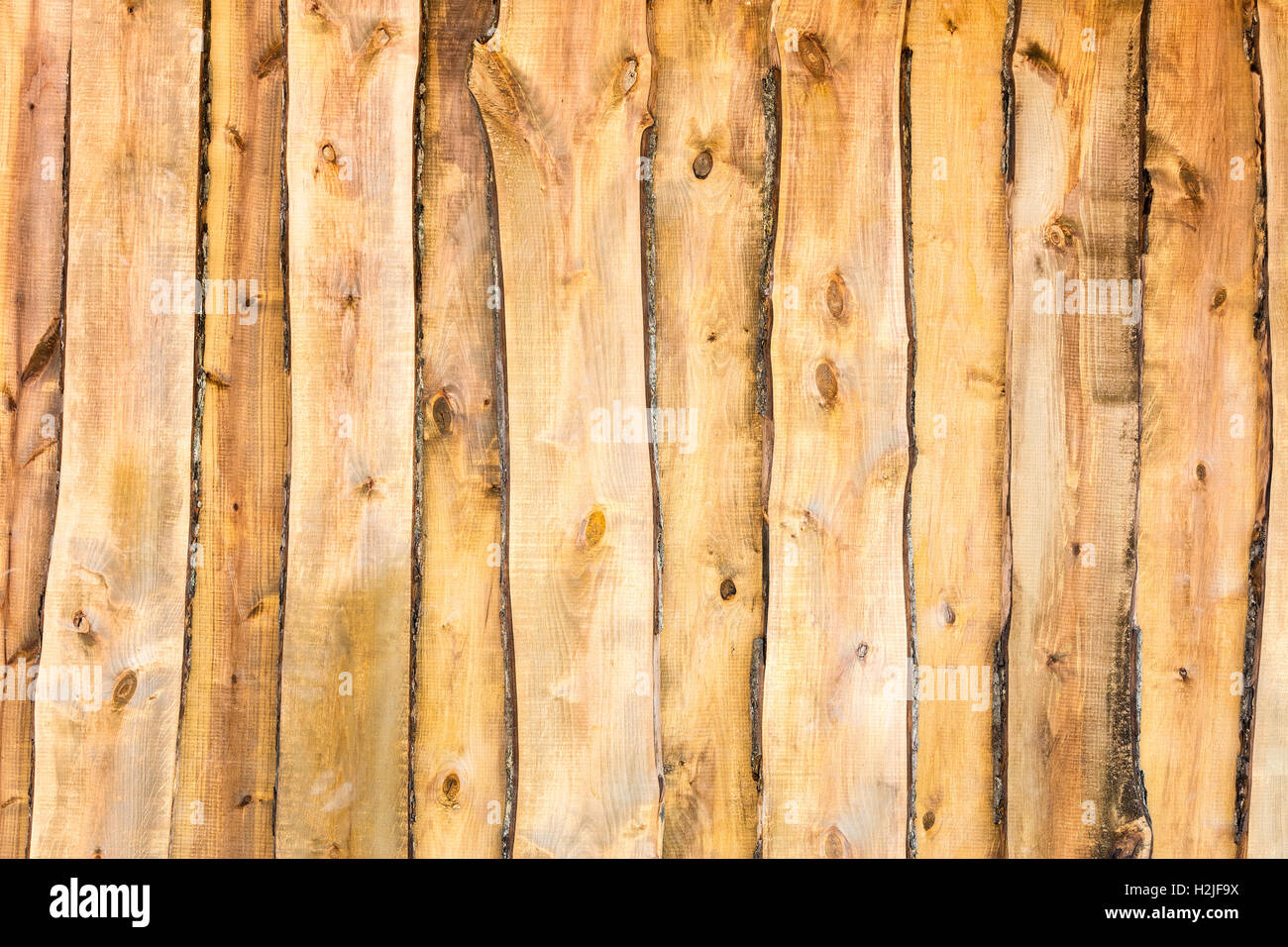 texture of wooden old yellow boards with natural pattern background ...