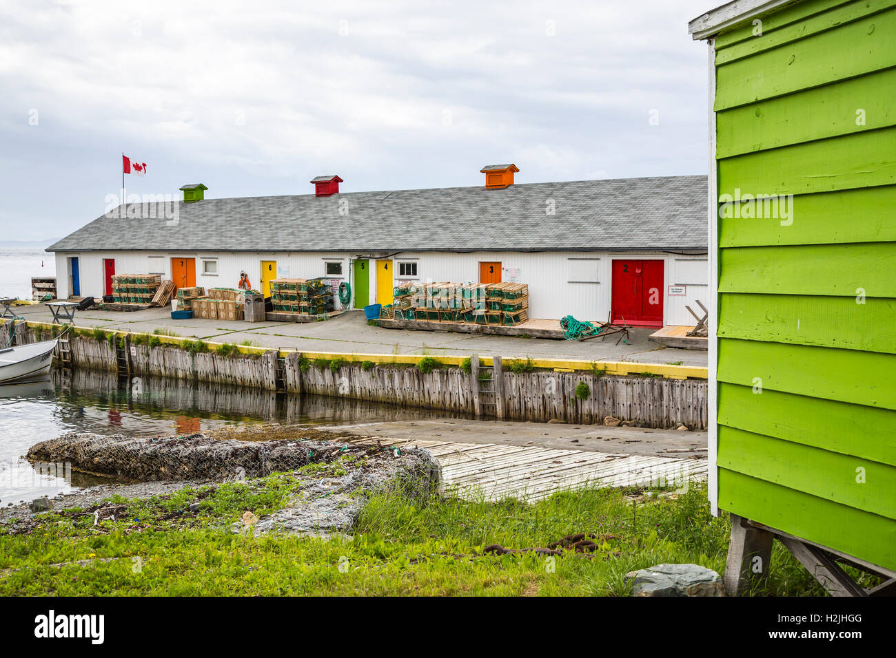 New perlican hi-res stock photography and images - Alamy