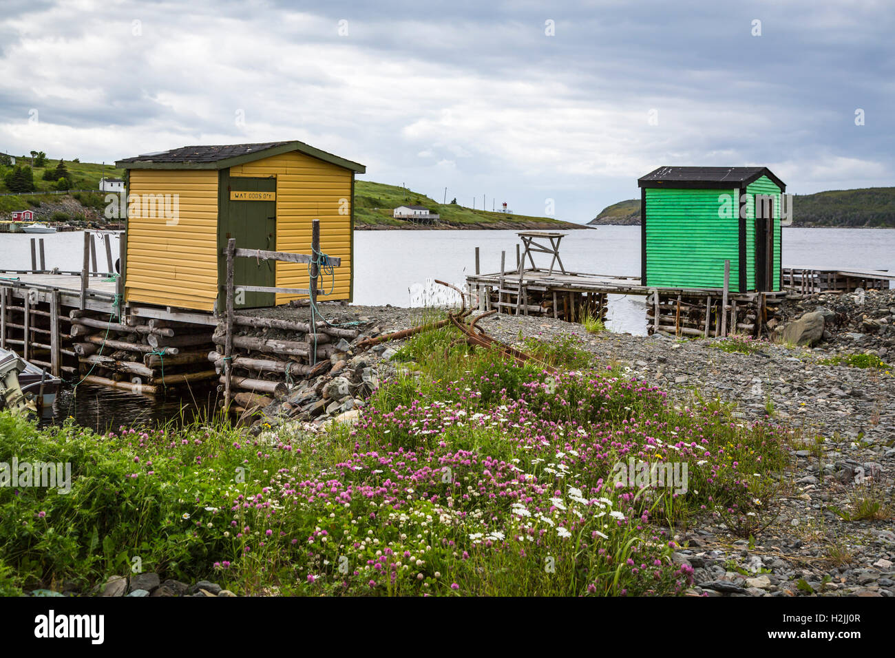 New perlican hi-res stock photography and images - Alamy