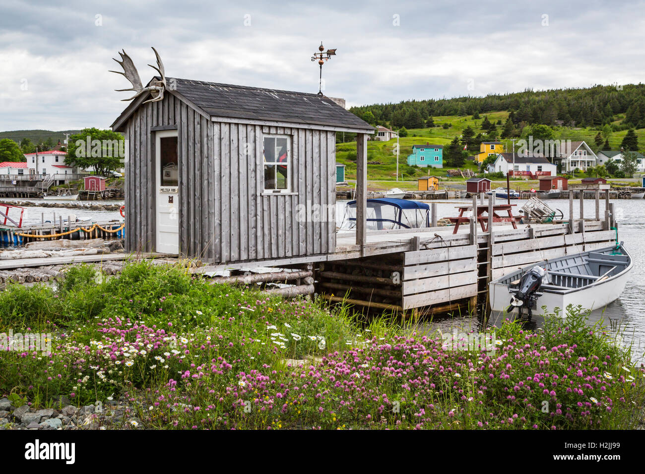 Fishing boats and colorful fishing stages in New Perlican, Newfoundland ...