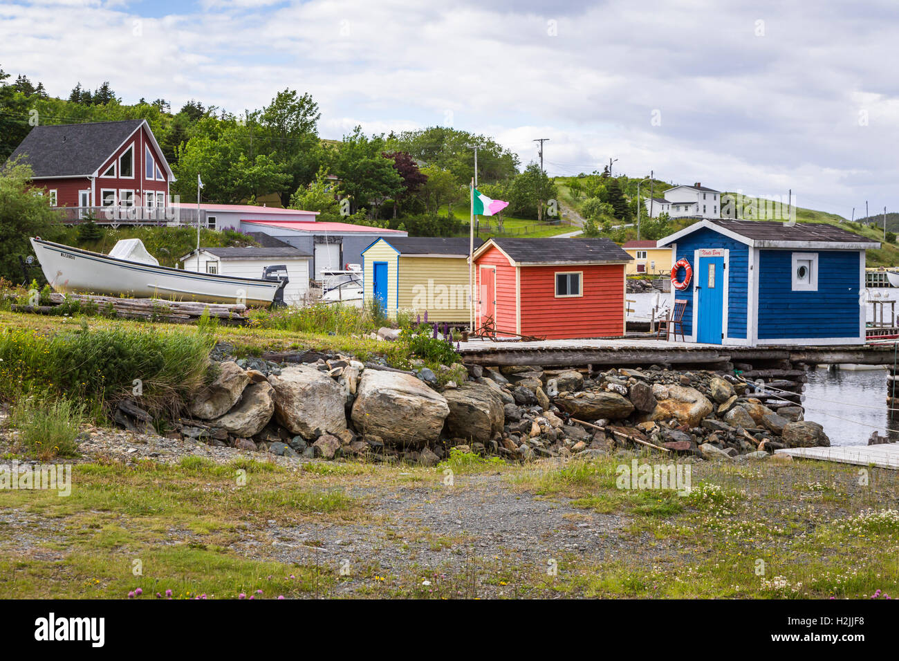 New perlican hi-res stock photography and images - Alamy