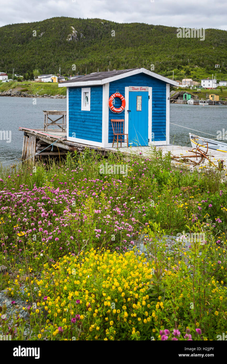 New perlican hi-res stock photography and images - Alamy