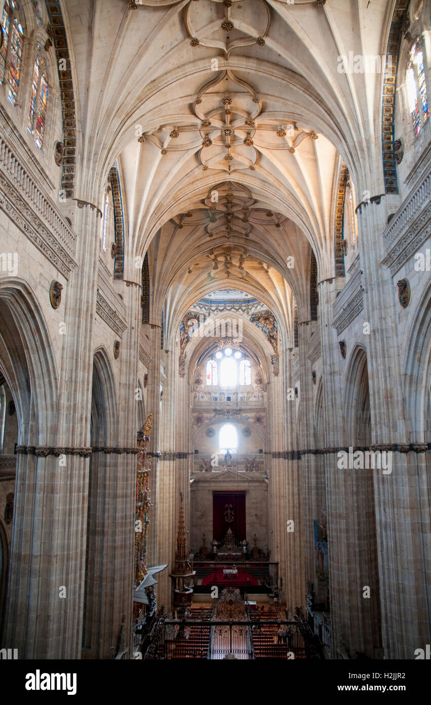 Nueva arquitectura hi-res stock photography and images - Alamy