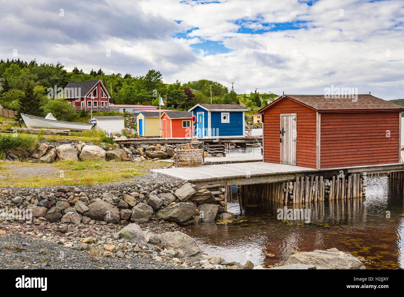 New perlican hi-res stock photography and images - Alamy
