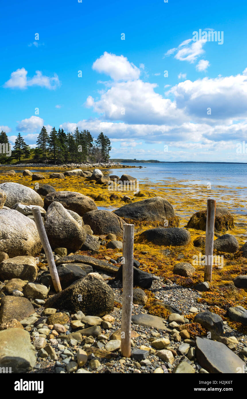 Old pier posts, rocky cove with pine trees, Atlantic Ocean, Nova Scotia ...