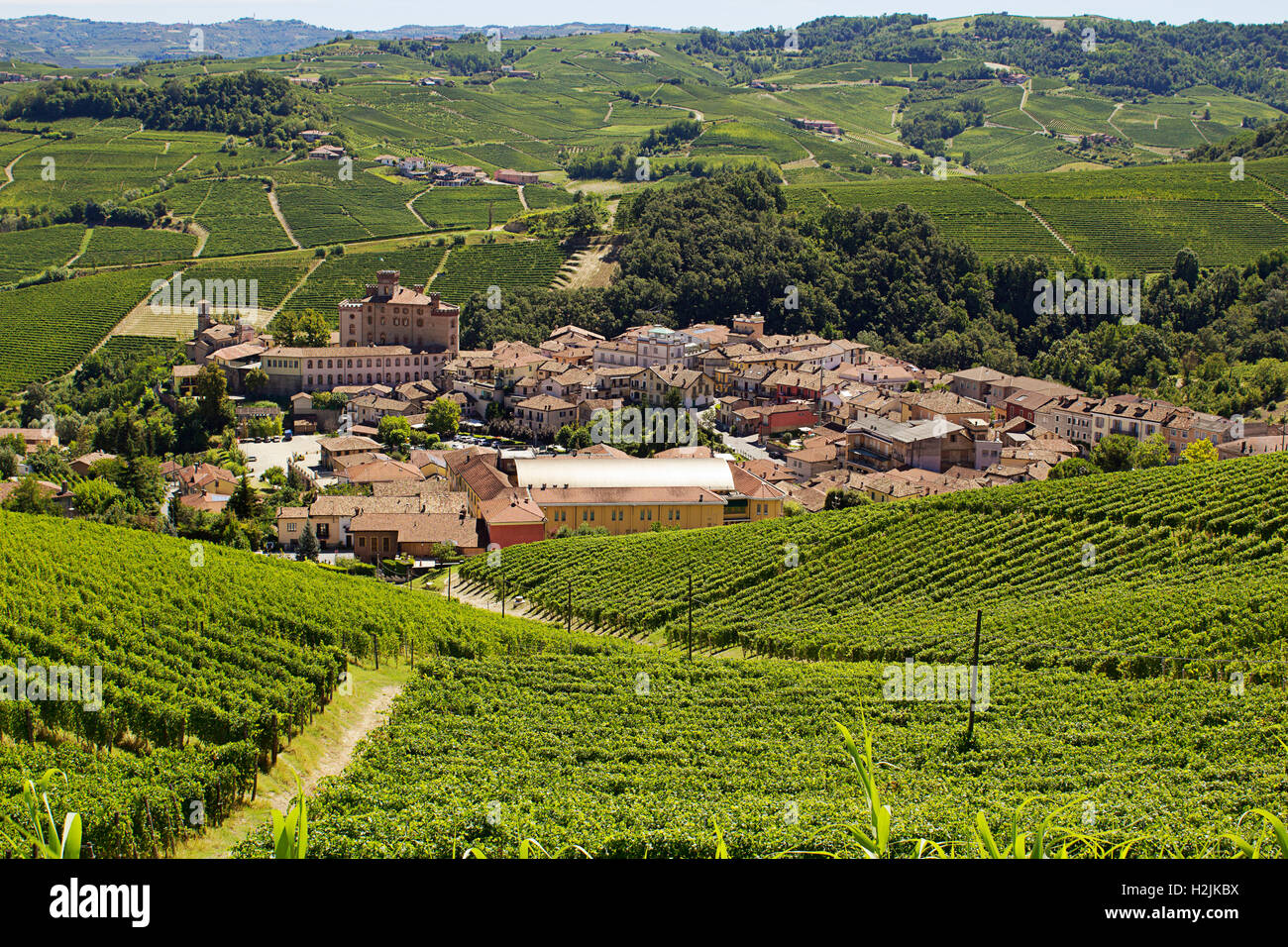 Beautiful view of Barolo city among green hills and luxurious vineyards ...