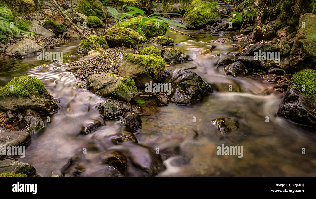 Gentle stream hi-res stock photography and images - Alamy