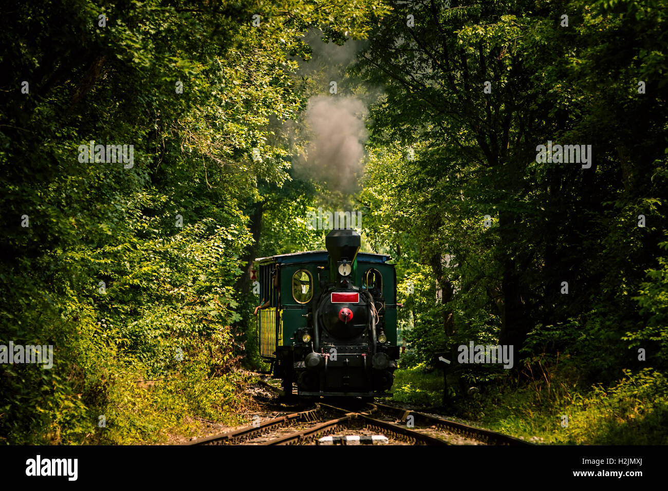 Old steam train passing through countryside Stock Photo - Alamy