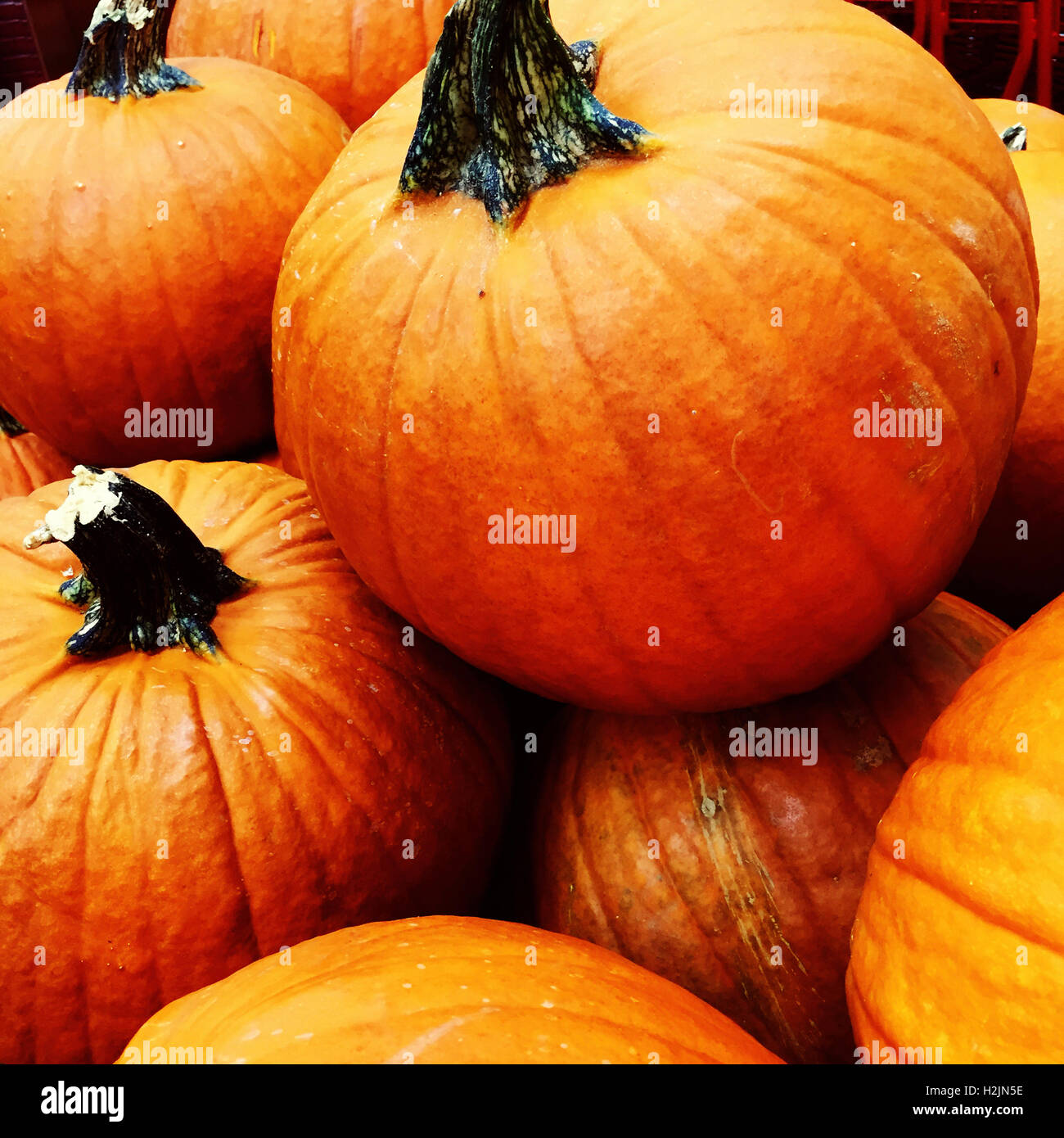 Pop orange halloween pumpkin hi-res stock photography and images - Alamy