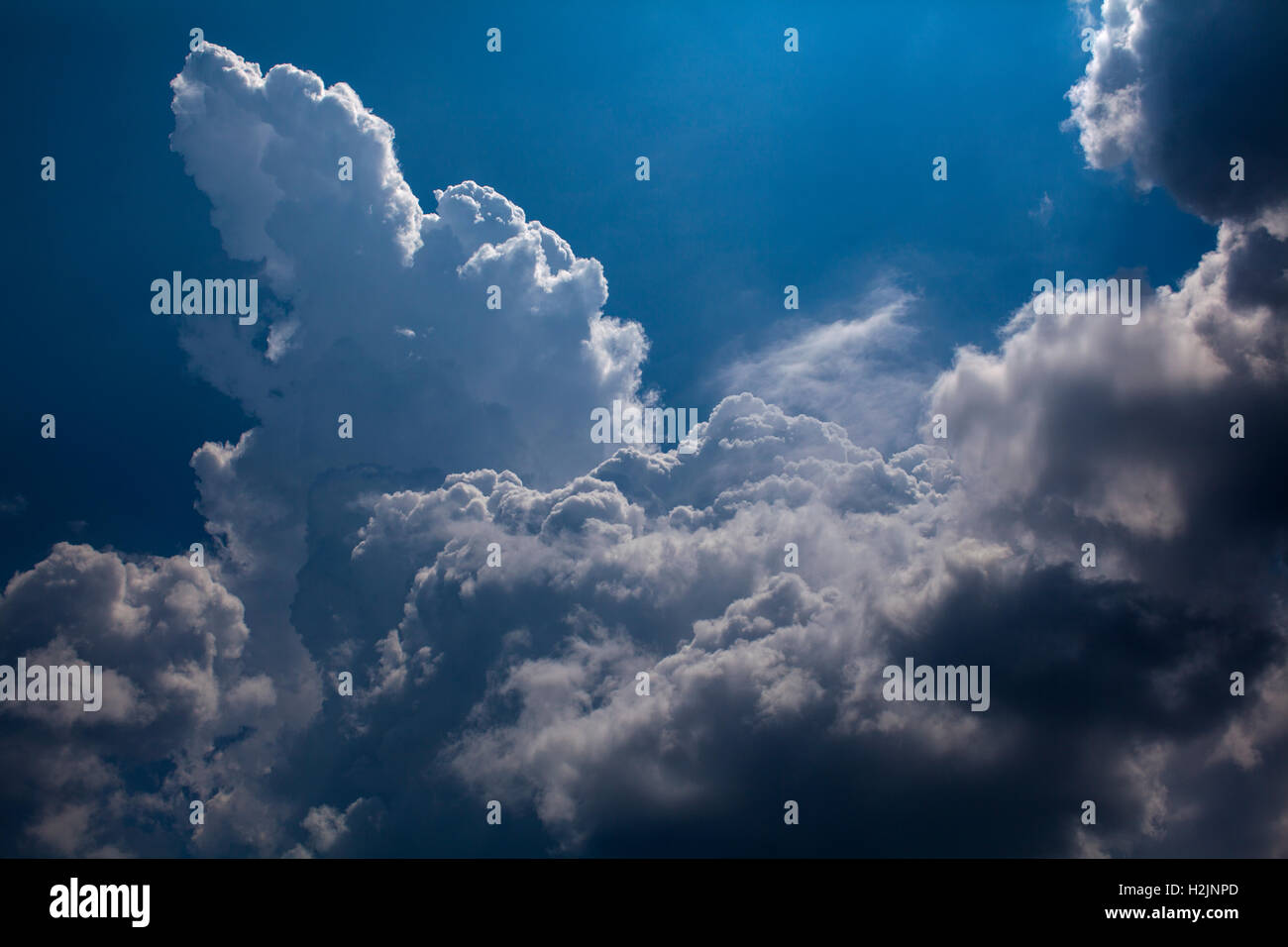 Growing cumulus clouds Stock Photo - Alamy
