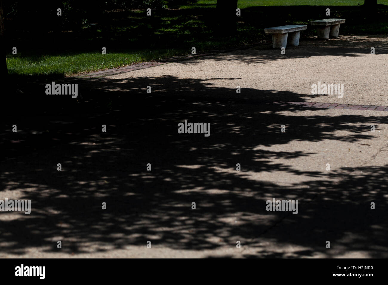 Shady benches hi-res stock photography and images - Alamy