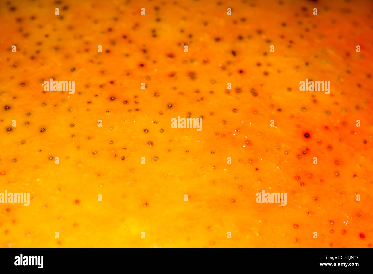 Mango skin hi-res stock photography and images - Alamy