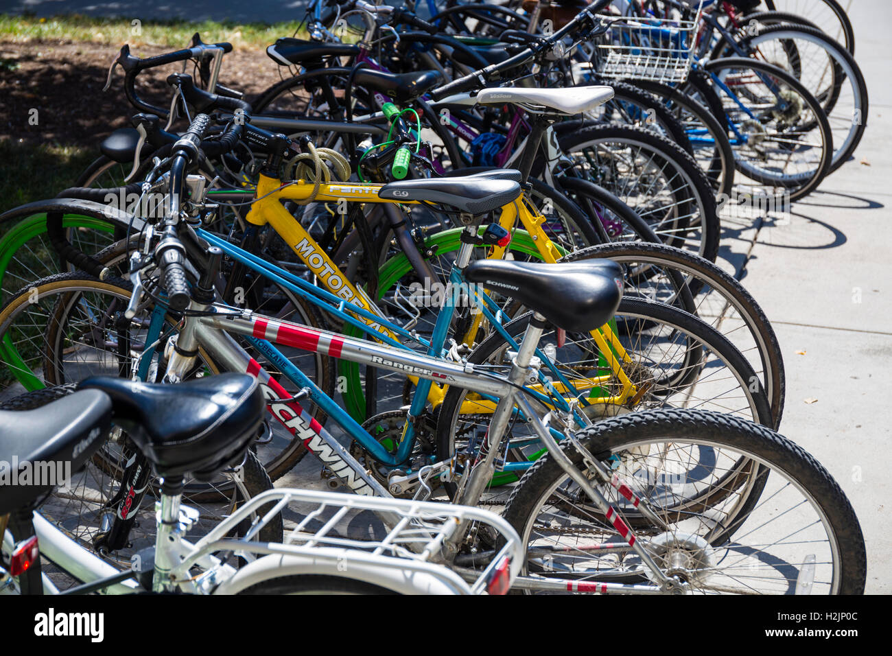 Row of parked bicycles Stock Photo - Alamy