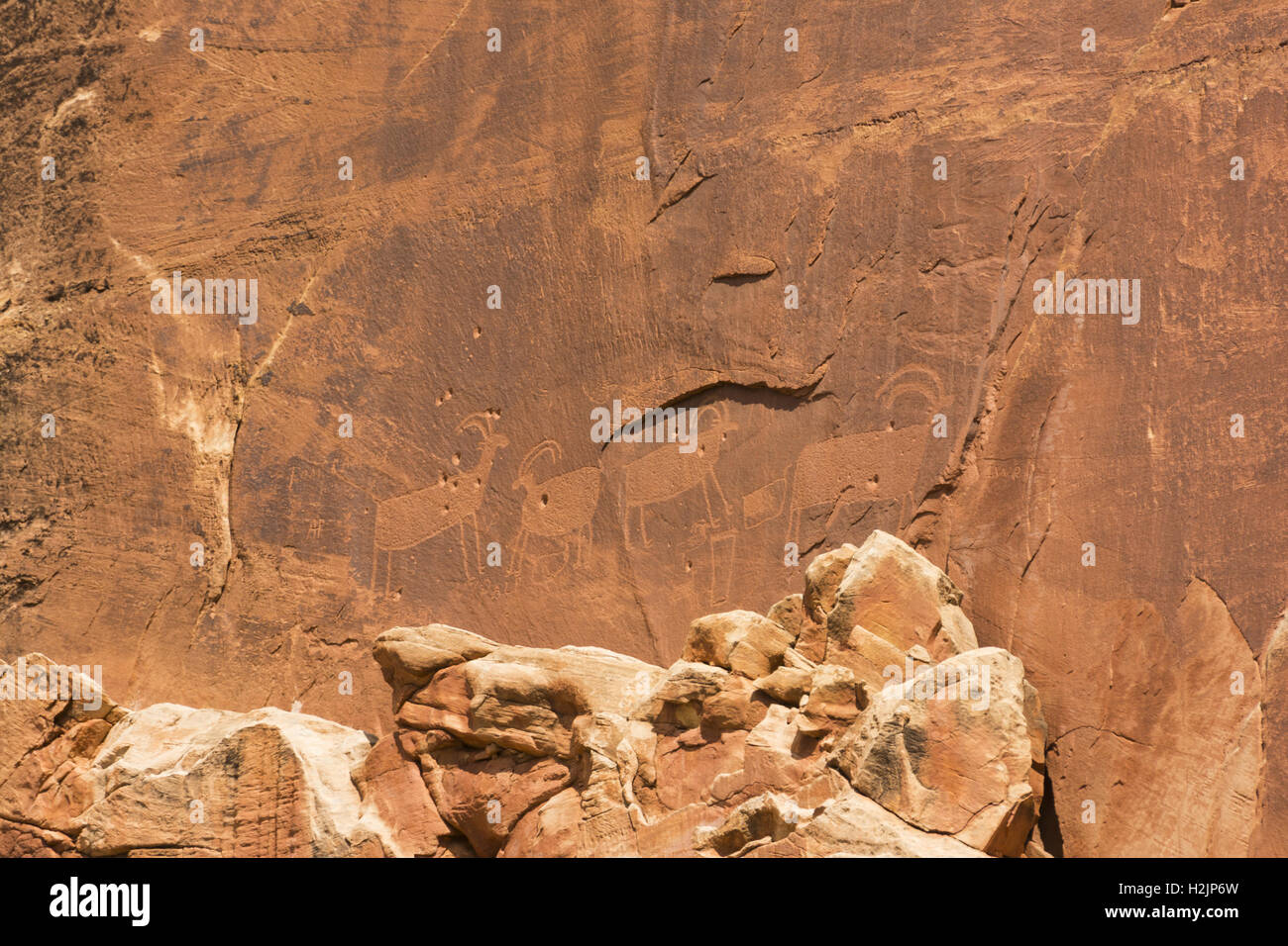 Petroglyphs capitol reef national park hi-res stock photography and ...