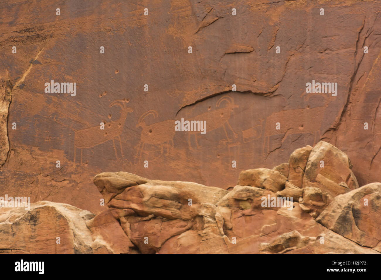 Utah, Capitol Reef National Park, Fremont River Gorge, petroglyphs ...