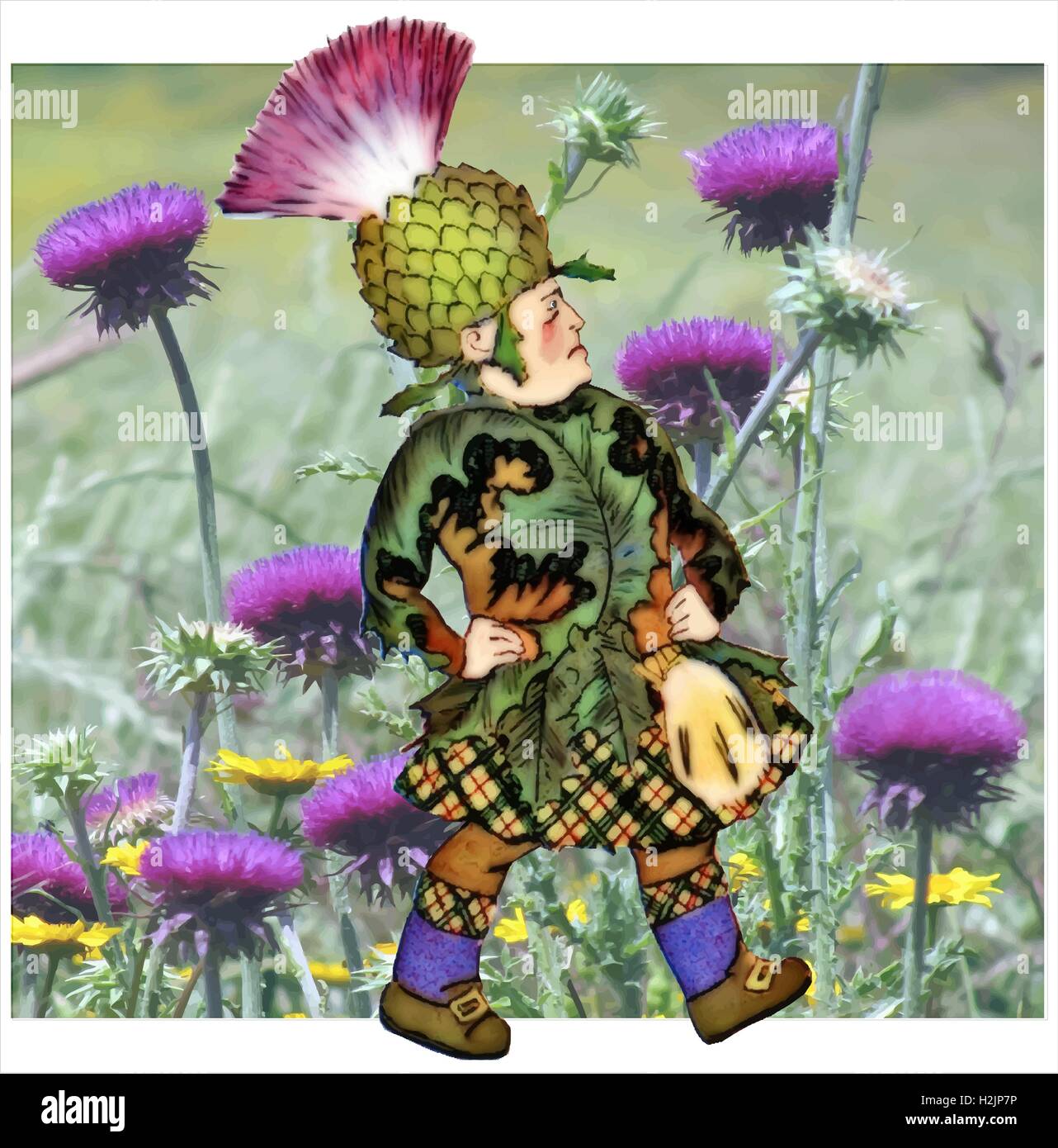 Old Thistle Illustration Stock Vector Images - Alamy