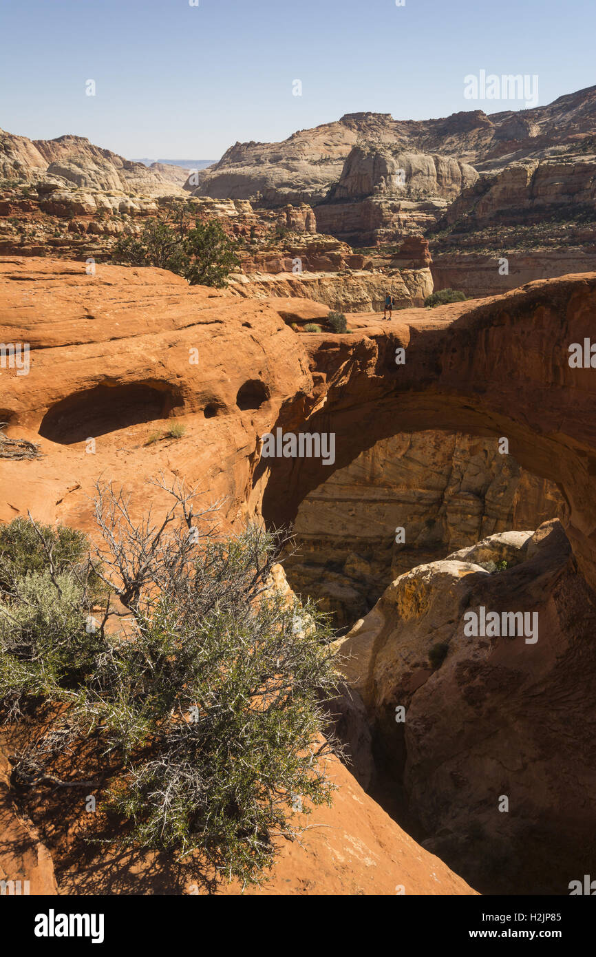 Utah, Capitol Reef National Park, Cassidy Arch Stock Photo - Alamy