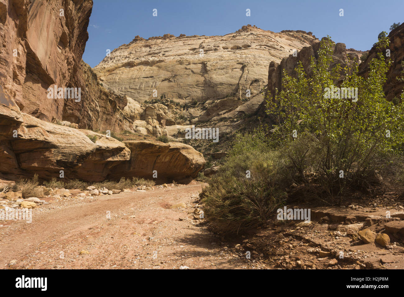 Utah, Capitol Reef National Park, Grand Wash, landscape Stock Photo - Alamy