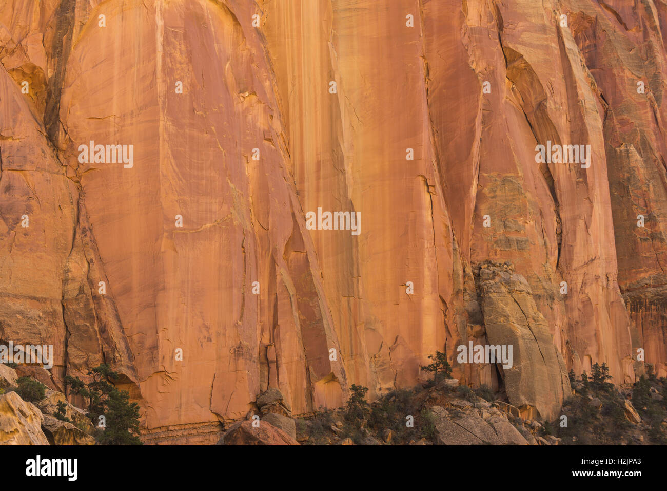Utah, Capitol Reef National Park, Capitol Gorge, rock formation detail ...