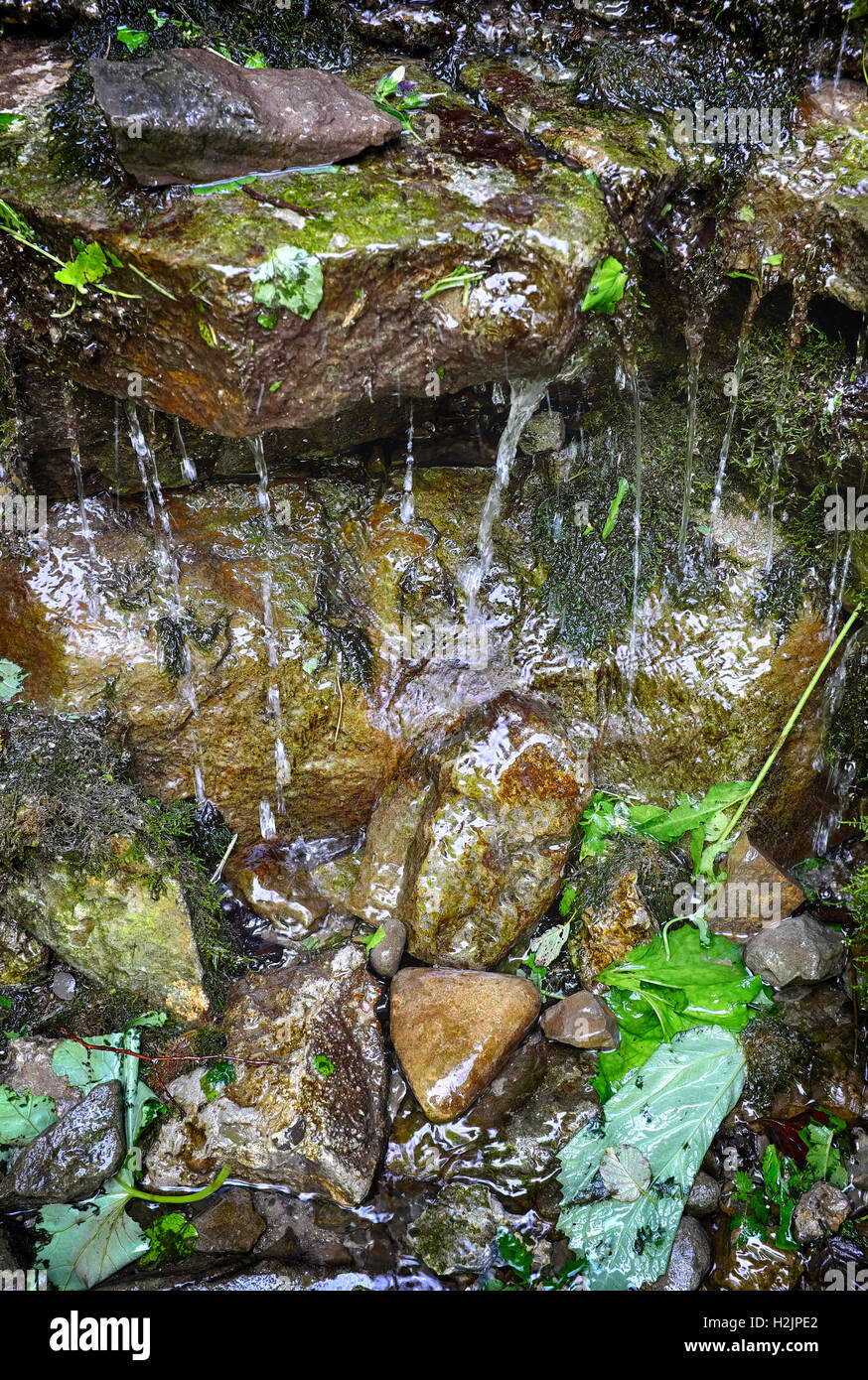 Water from a tiny spring it can be used for drinking and cooking ...