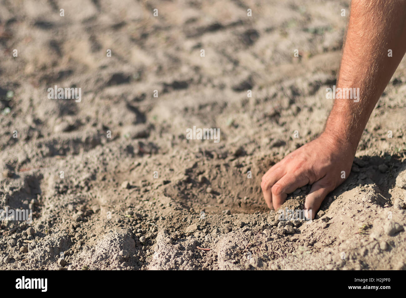 Hand holding a pile of soil above the ground. Hand with soil Stock ...