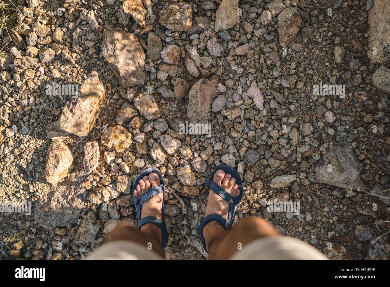 Sandals in the rocky desert of Saguaro National Park Stock Photo - Alamy