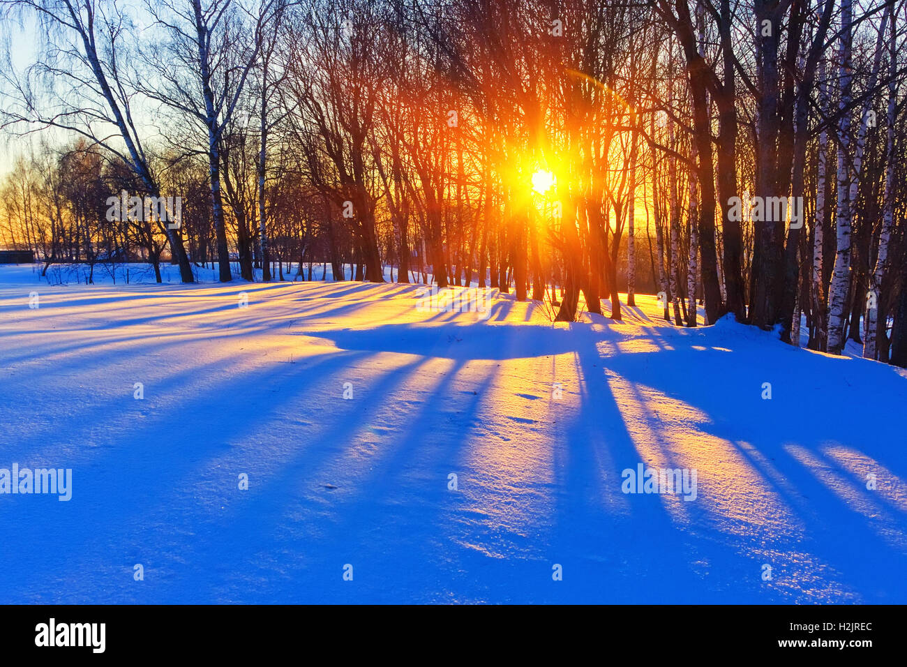 Colorful winter sunset Stock Photo - Alamy