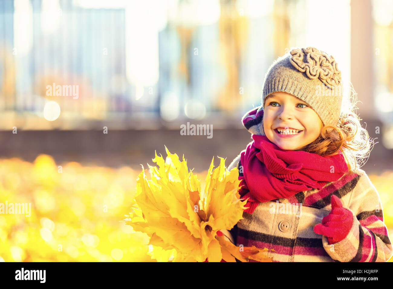 Happy little girl with autumn leaves Stock Photo - Alamy
