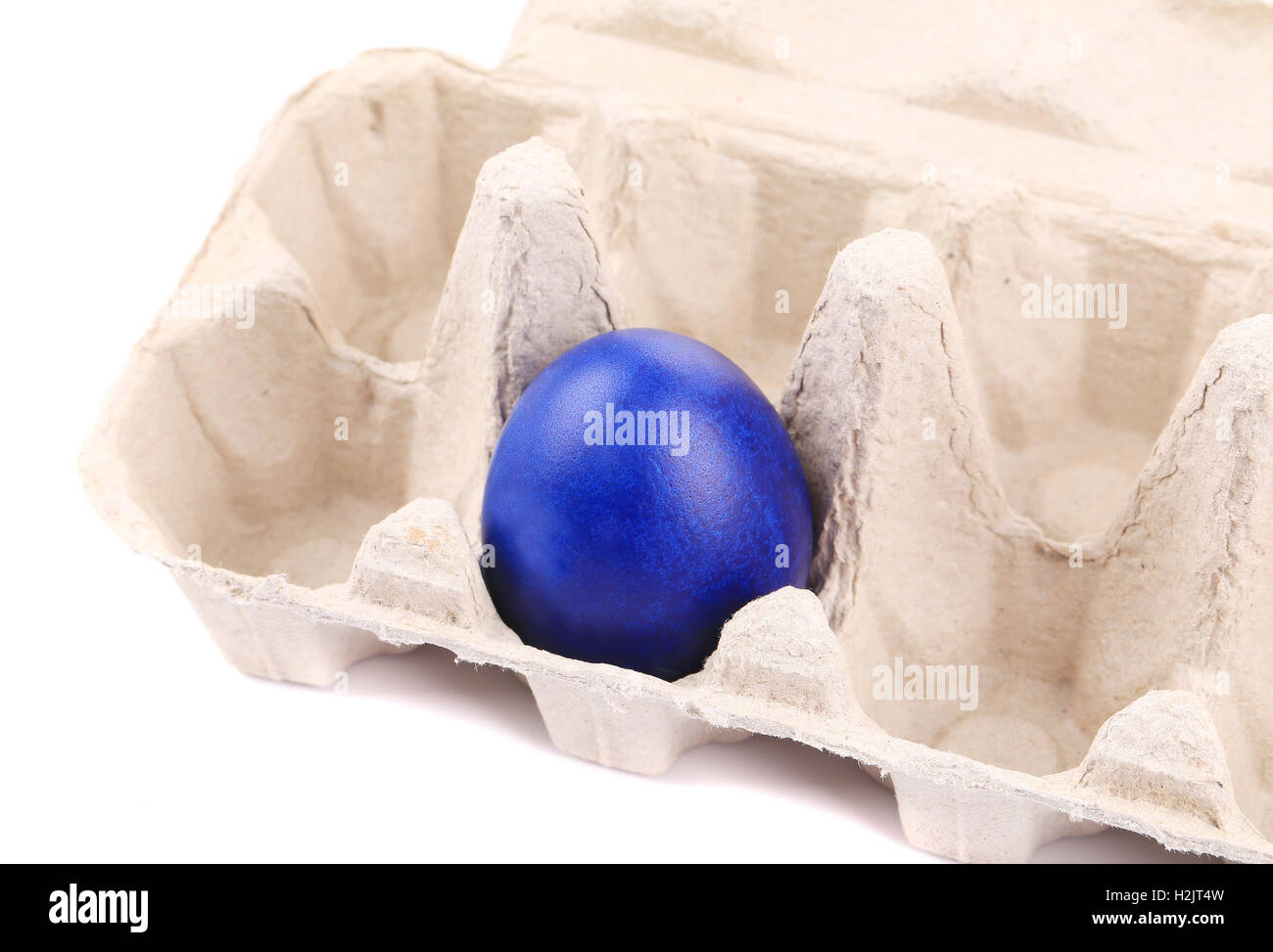 Cardboard box with one dark blue easter egg Stock Photo - Alamy