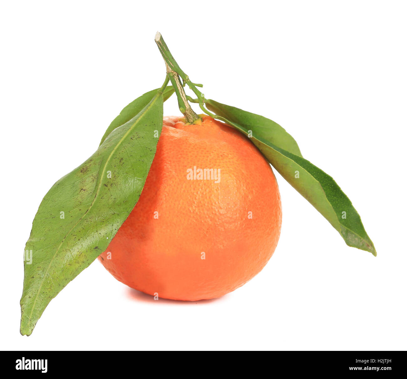 Ripe mandarin with green leaves Stock Photo - Alamy