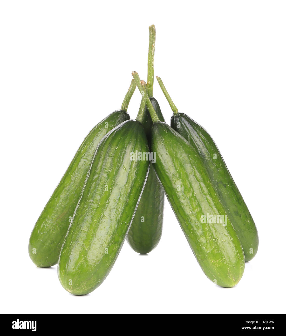 close up of Five cucumbers Stock Photo - Alamy