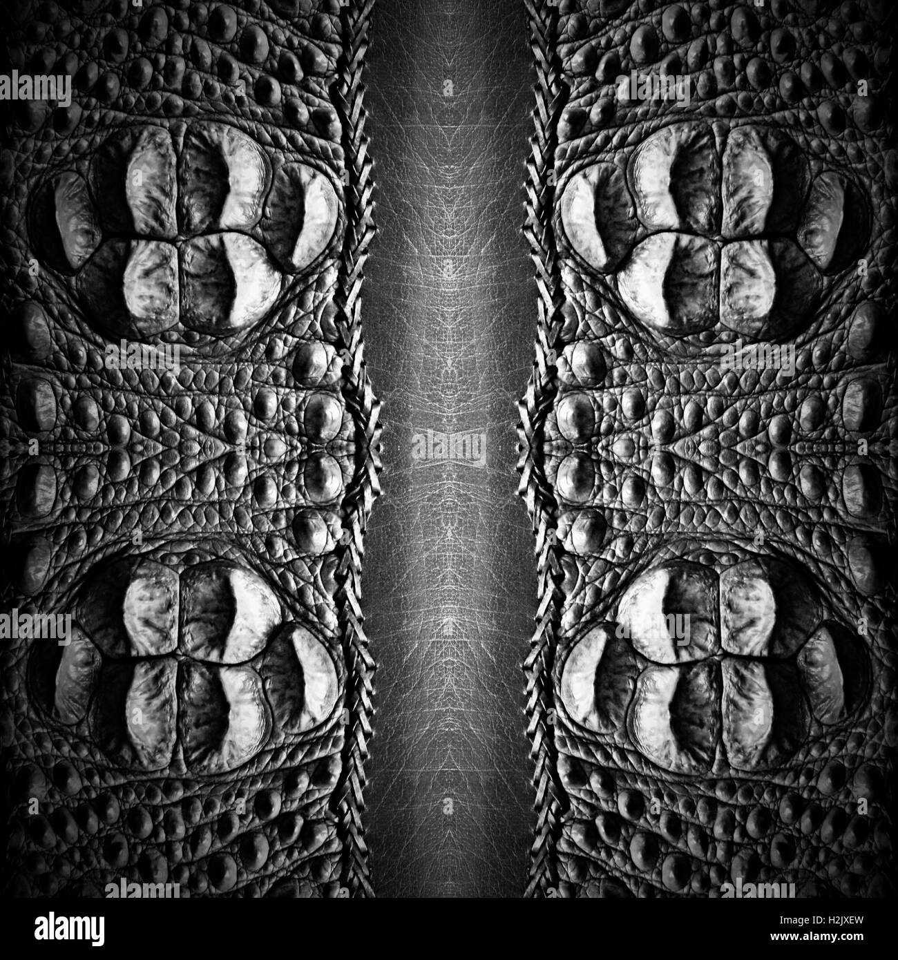 Surface of the skin Black and White Stock Photos & Images - Alamy