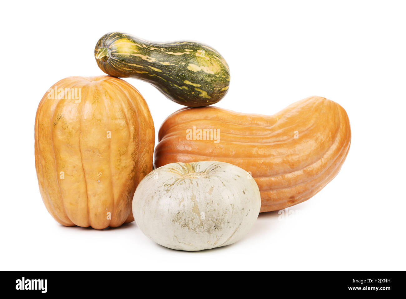 Elongated pumpkins hi-res stock photography and images - Alamy