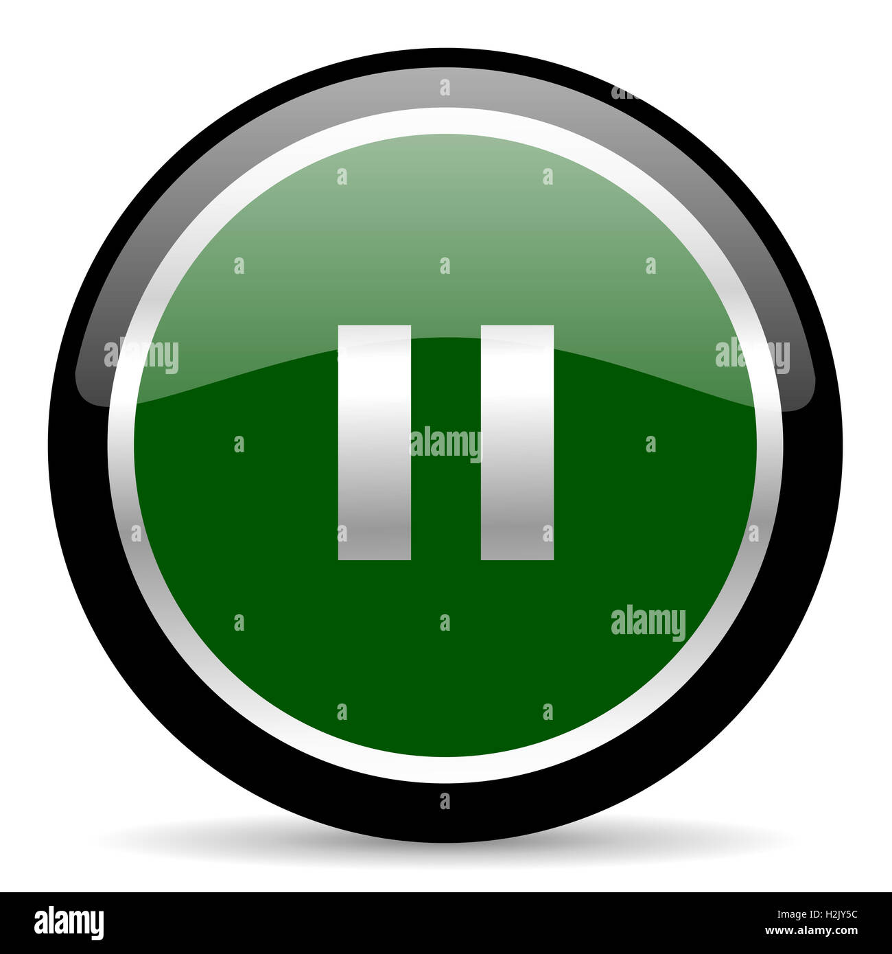 Pause Icon Green