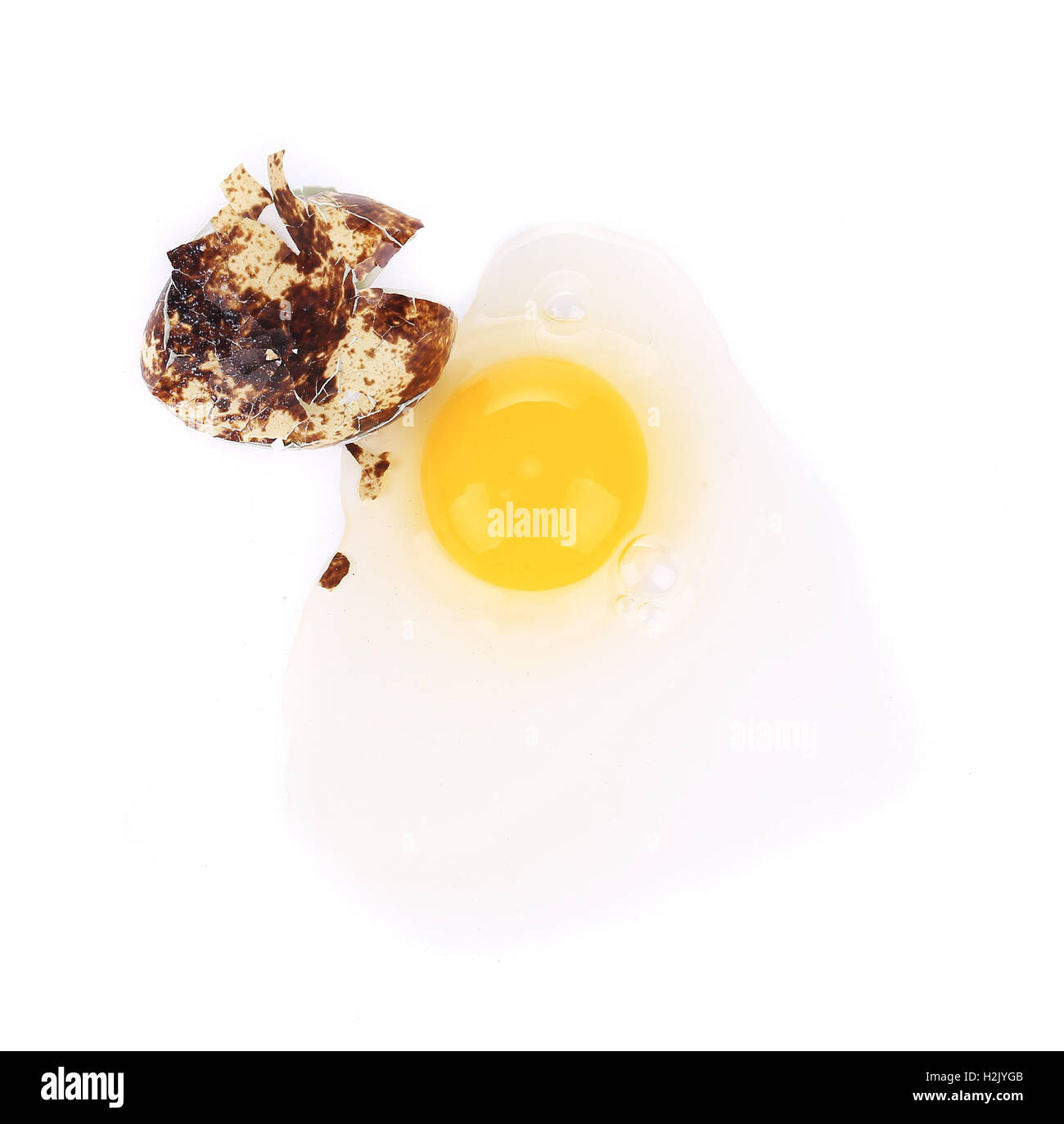 Quail egg shell cracked isolated hi-res stock photography and images ...