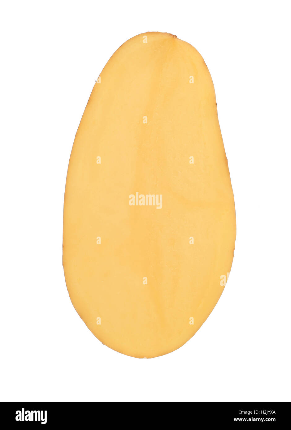 Cross section front view Cut Out Stock Images & Pictures - Alamy