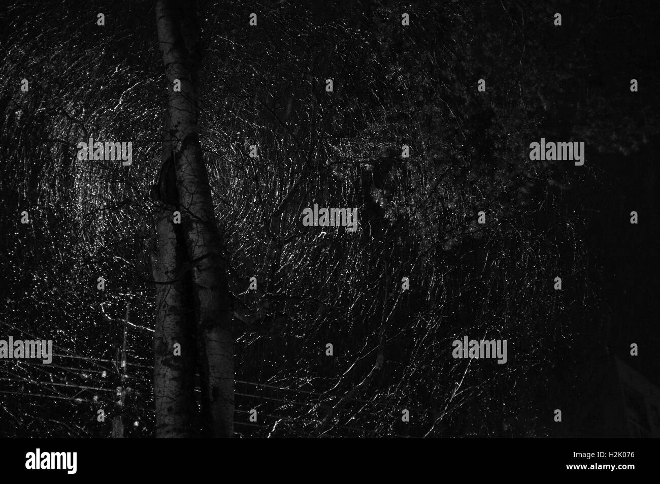 Pollock like hi-res stock photography and images - Alamy