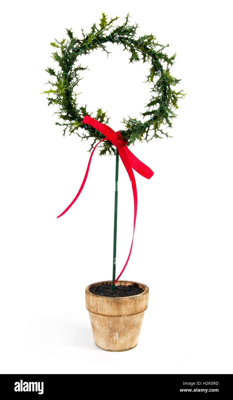 christmas plant in pot with ribbon Stock Photo - Alamy
