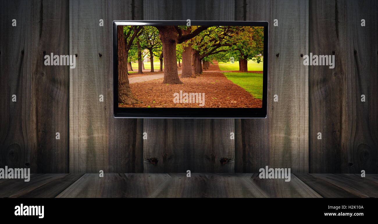 wooden backround with tv and forest picture Stock Photo - Alamy