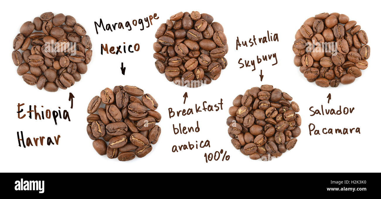 Collection of roasted coffee beans. name coffees Stock Photo - Alamy