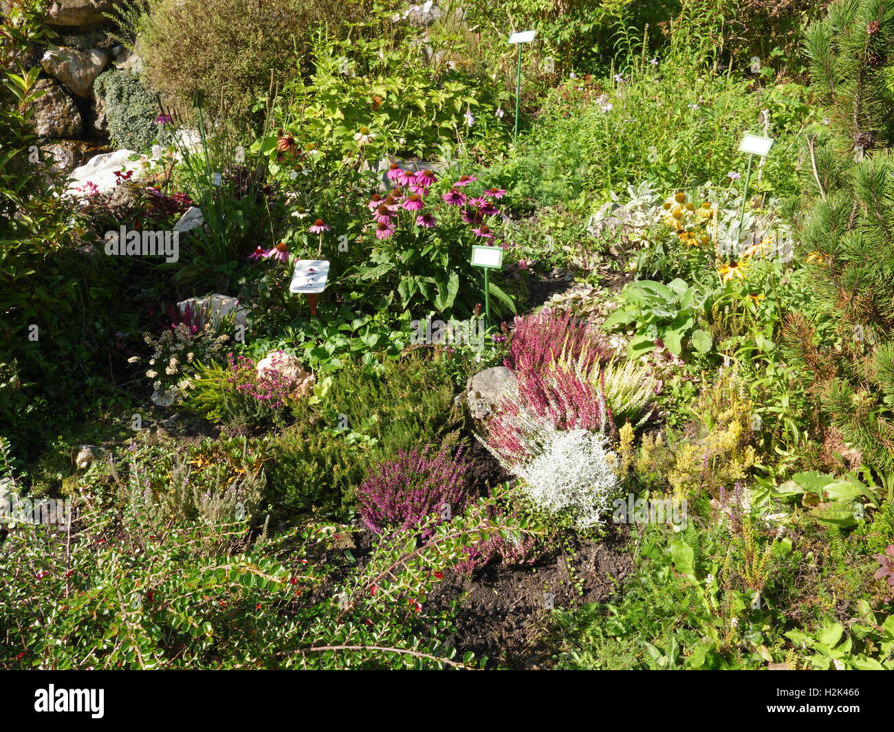 Bavaria Berchtesgaden National Park Ramsau Medical Herbal plant garden ...