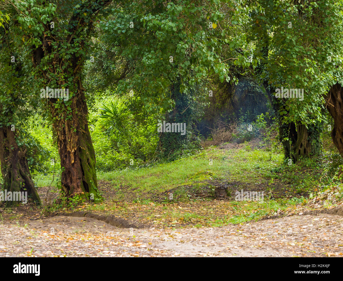 Mon Repos park, Corfu Town, Greece Stock Photo - Alamy