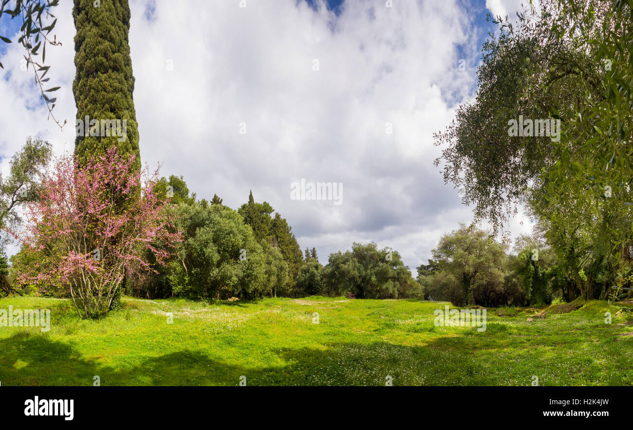 Gardens of Mon Repos in Corfu Greece Stock Photo - Alamy